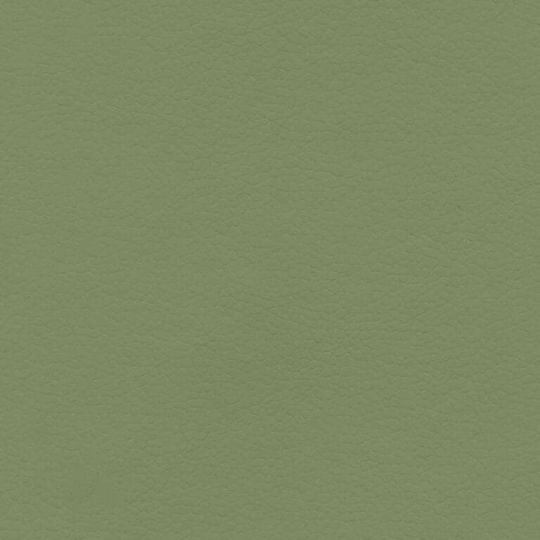 Ultrafabrics® | Coast – Stem Green
