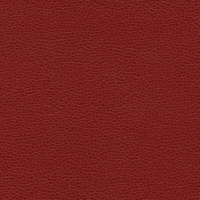 Promessa® – Rumba Red