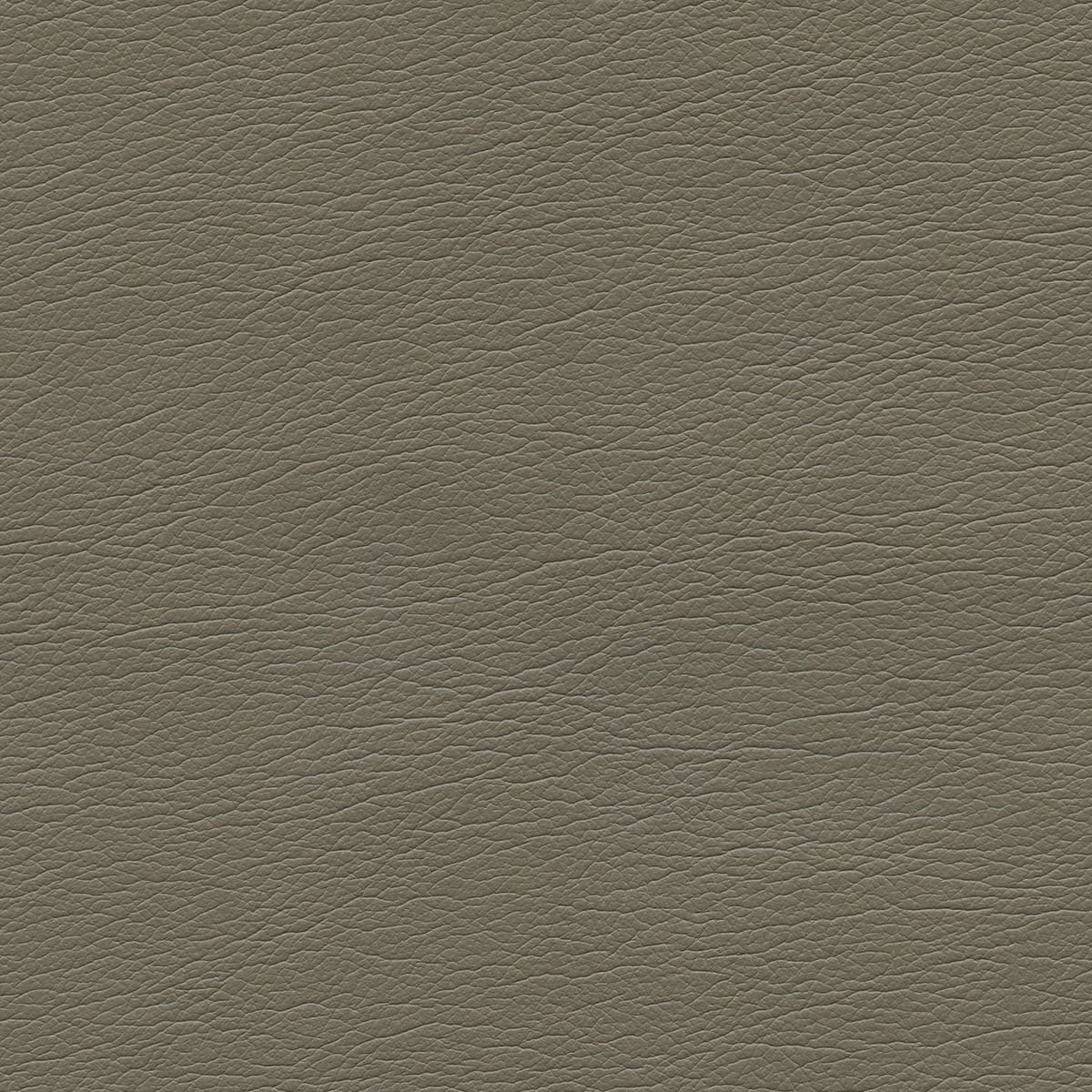 Ultraleather® – Moth Wing